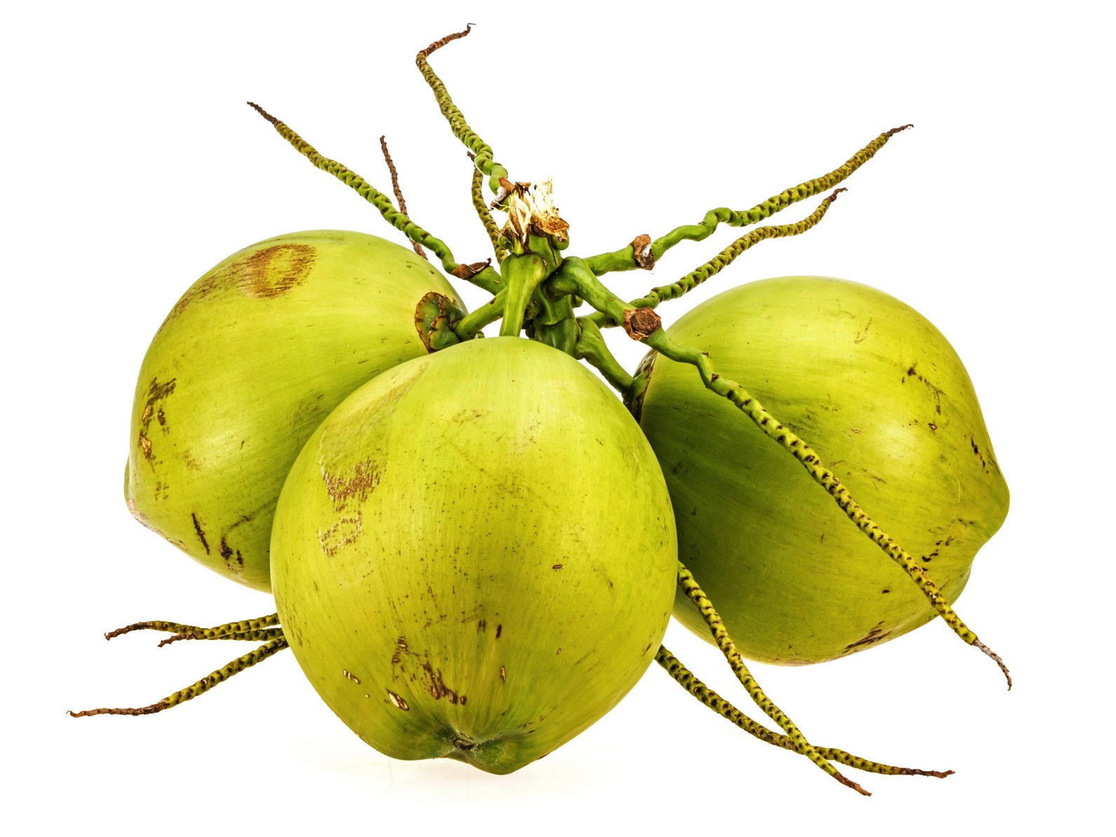 For The Love Of Coconuts UpWellness