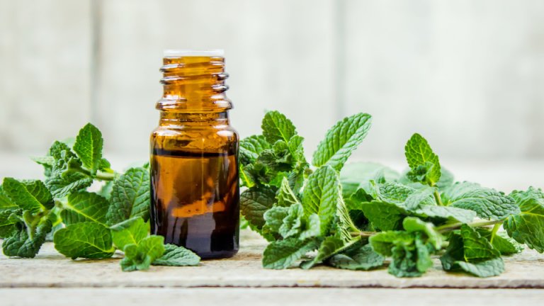 Everything You Need to Know About Using Peppermint for Health ...